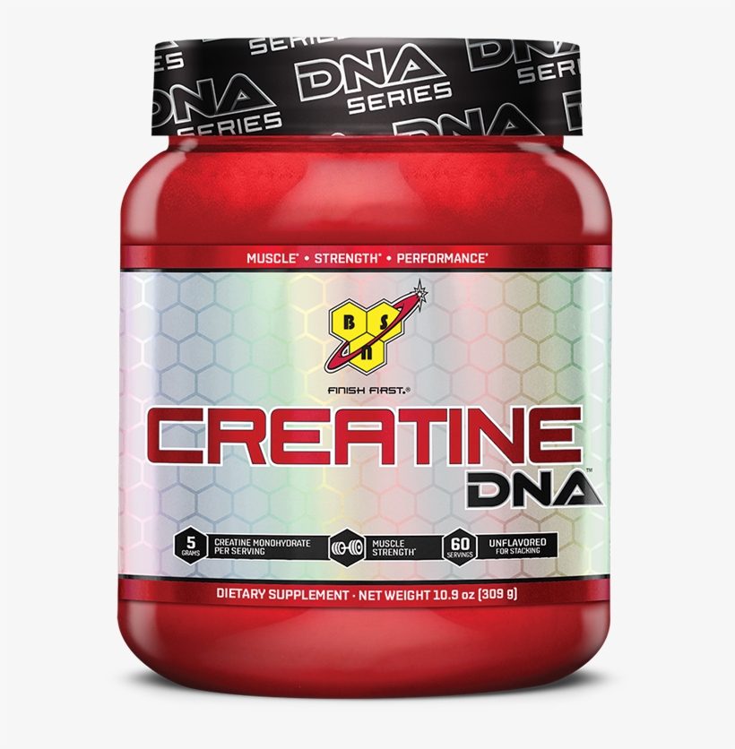 Dna Muscle Png - Free Transparent PNG Download - PNGkey