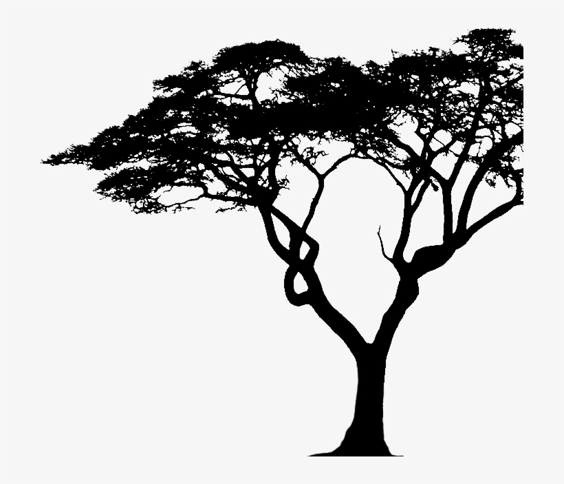 Tree 2d Png - Free Transparent PNG Download - PNGkey