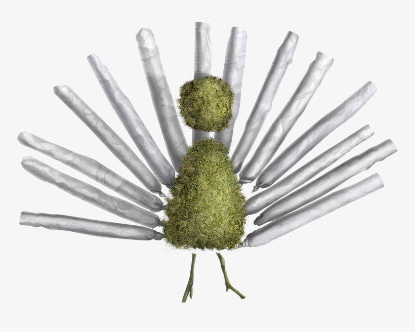 Kimoji - Free Transparent PNG Download - PNGkey