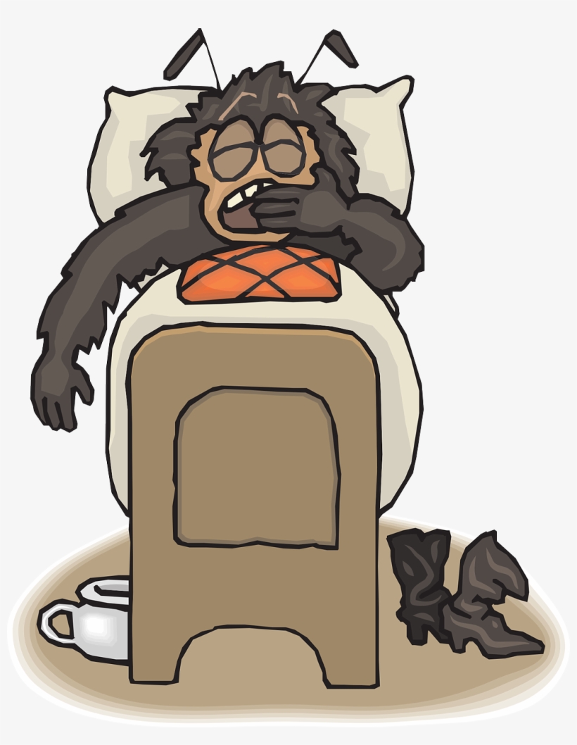 What Are Bed Bugs - Bed Bug Bite - Free Transparent PNG Download - PNGkey