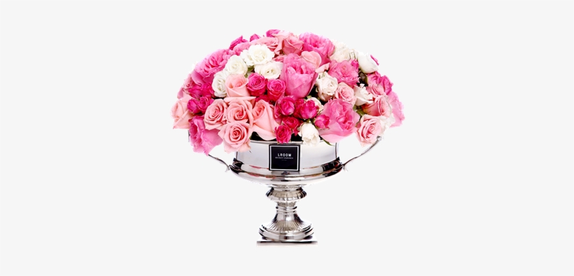 Tenderness - Free Transparent PNG Download - PNGkey