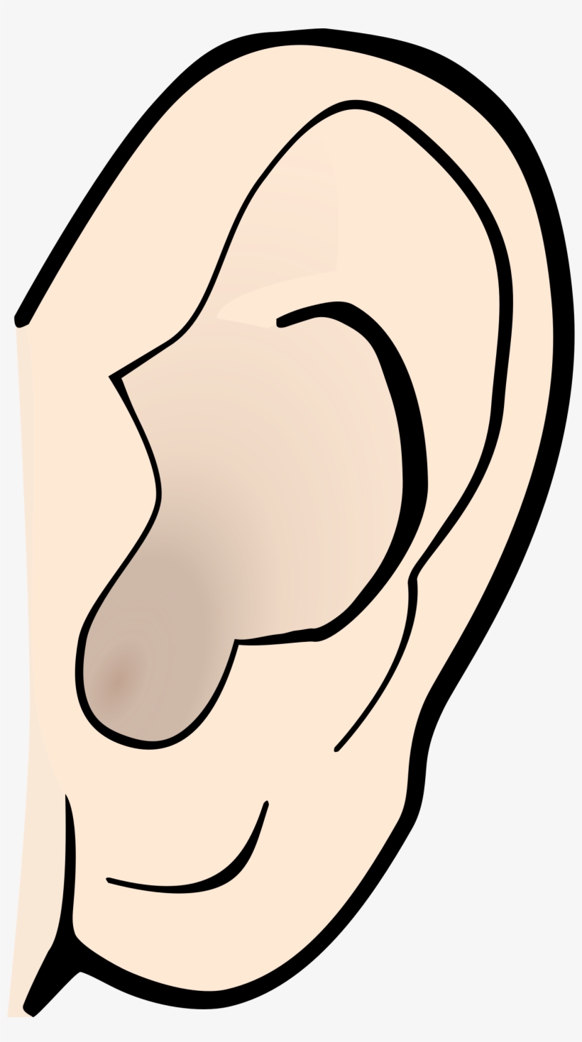 Ear Clipart Pngs