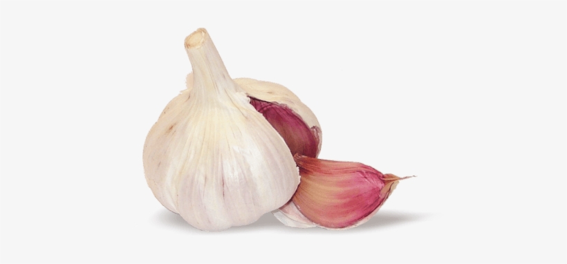 Vegetables - Ajo Png - Free Transparent PNG Download - PNGkey
