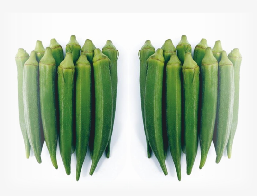 Okra-f1 - Okra - Free Transparent PNG Download - PNGkey