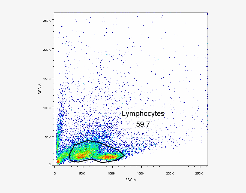 How To Gate The Lymphocytes In A Mouse Spleen Mononuclear - Spleen ...