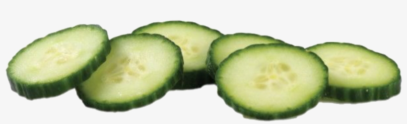 Requested Pngs /like Or Reblog If Used/ - Pngs For Moodboards Green ...