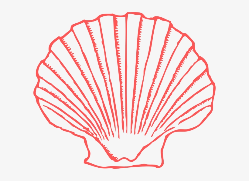 Shell Clip Art - Free Transparent PNG Download - PNGkey
