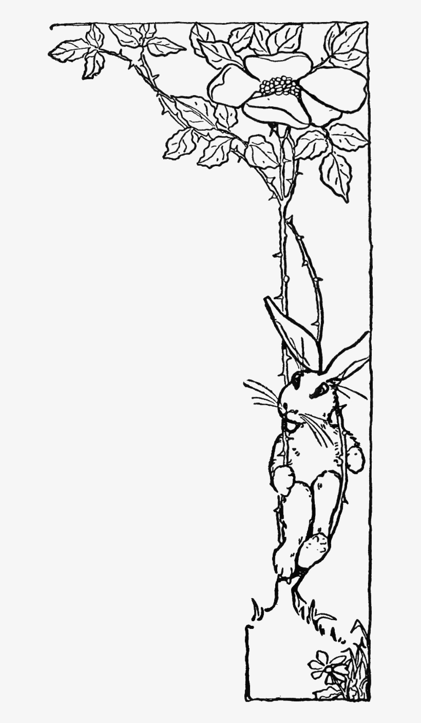 Peter Rabbit Albert Border 10 - Drawing - Free Transparent PNG Download ...