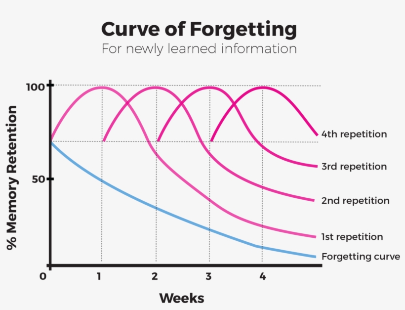 Curve Of Forgetting - Free Transparent PNG Download - PNGkey