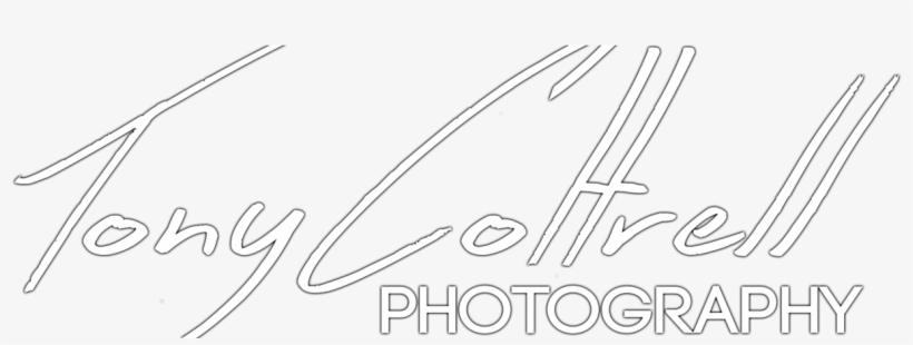 Professional Event Photography By Tony Cottrell - Calligraphy - Free ...