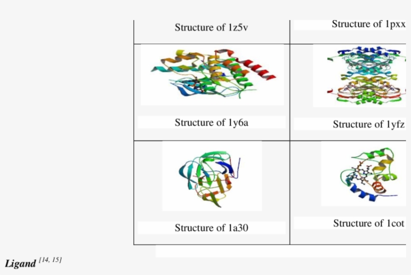 Structure Of Target - Diagram - Free Transparent PNG Download - PNGkey