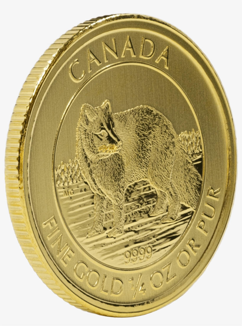 Coin - Free Transparent PNG Download - PNGkey