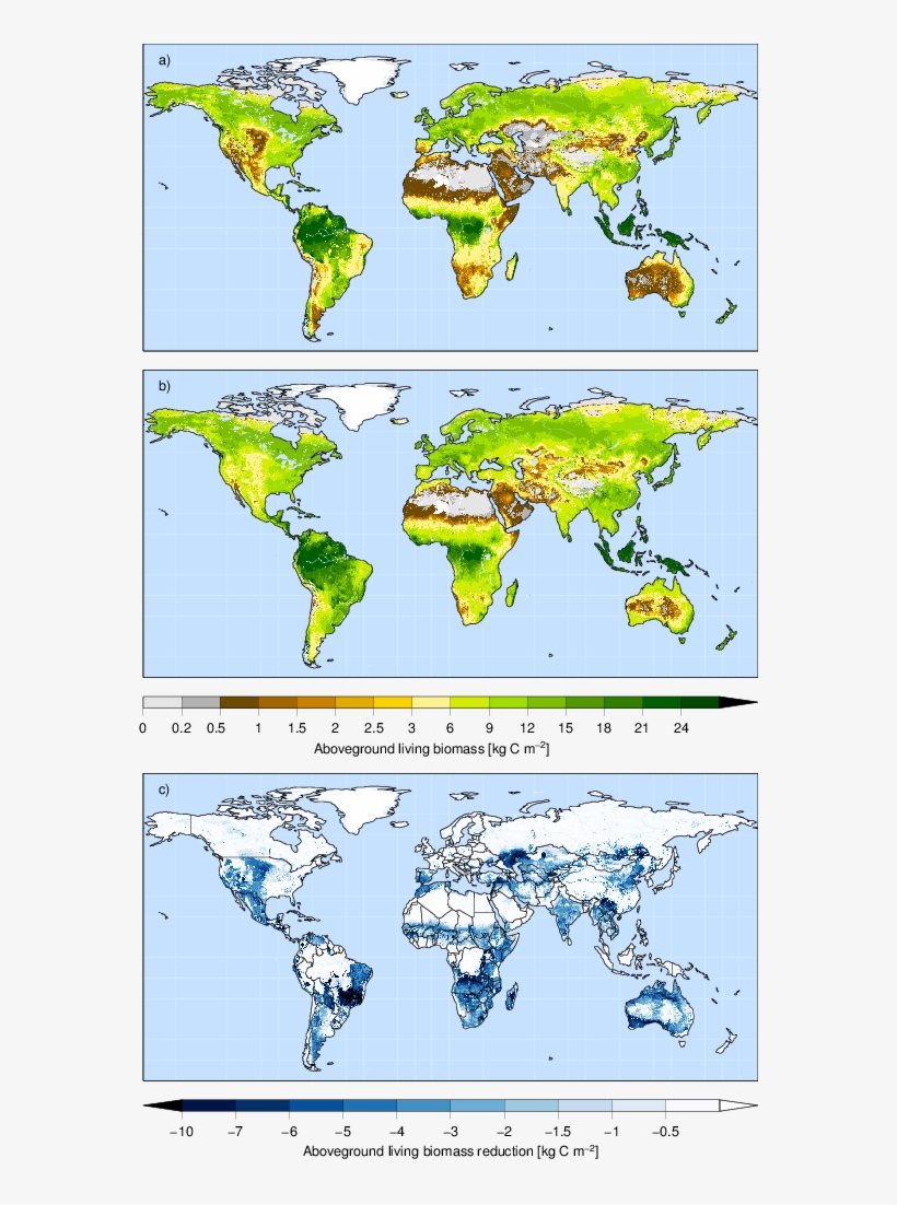 Simulated Biomass C - World Map - Free Transparent PNG Download - PNGkey