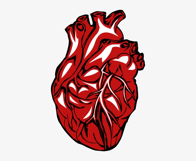 Real Heart Png
