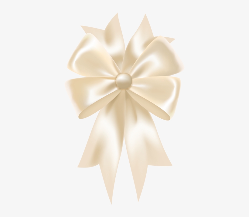 Gift Bow - Still Life Photography - Free Transparent PNG Download - PNGkey