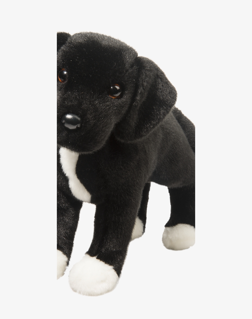 Black Lab Mix - Stuffed Toy - Free Transparent PNG Download - PNGkey