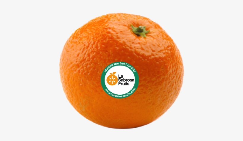 Orange 61 - Orange Round Lapel Pin, Silver Plated Pin, Men's, Chocolate ...