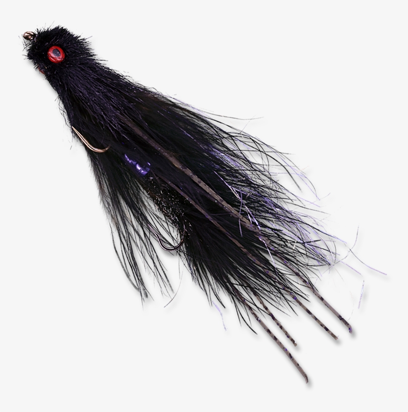 Lynch Mob - Black - Insect - Free Transparent PNG Download - PNGkey