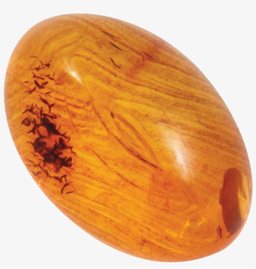 Amber - Free Transparent PNG Download - PNGkey