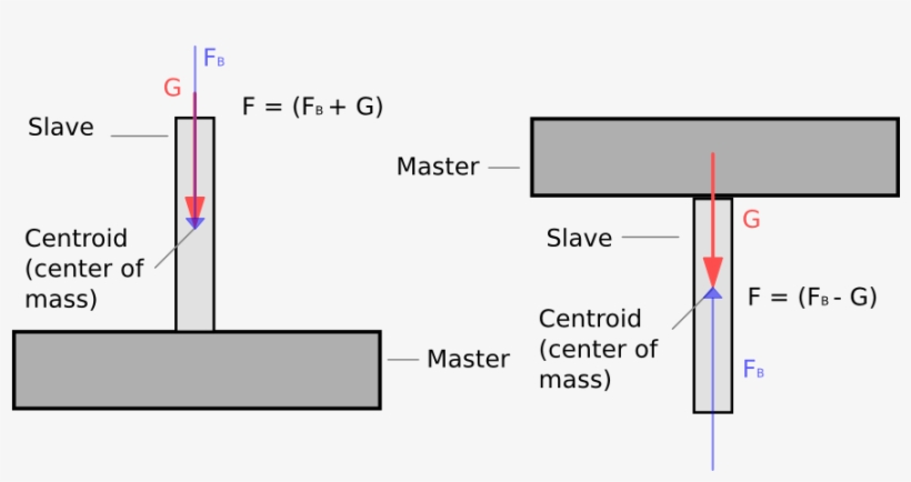 Bind Force And Gravity - Diagram - Free Transparent PNG Download - PNGkey