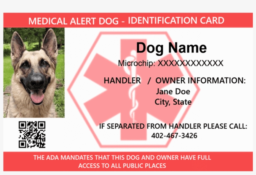 Service Dog - Free Transparent PNG Download - PNGkey