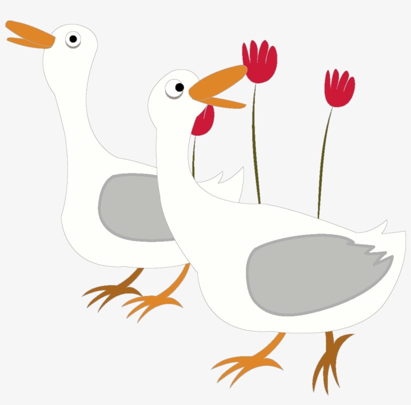 Cartoon Cute White Duck Element - Duck - Free Transparent PNG Download ...