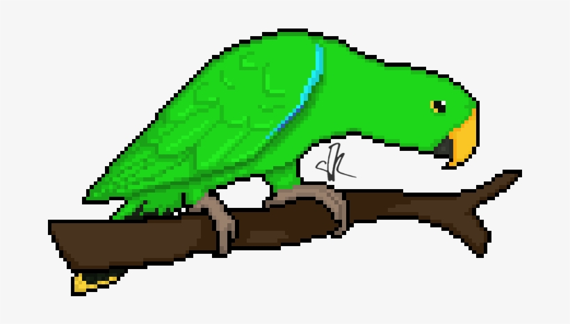 Wikia Visualization Add 2,parrots - Free Transparent PNG Download - PNGkey
