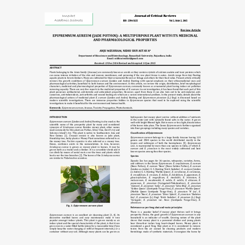 Pdf - Tree - Free Transparent PNG Download - PNGkey