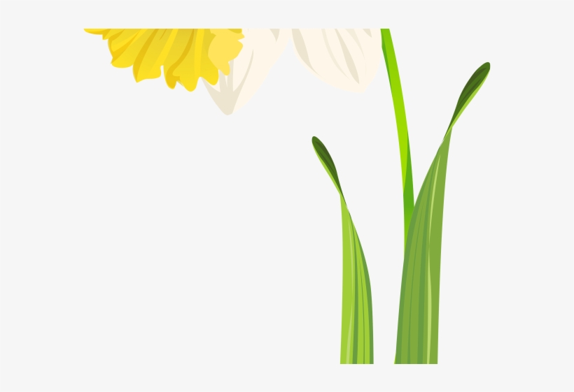 Flowers Color Clipart Single Flower - Free Transparent PNG Download ...