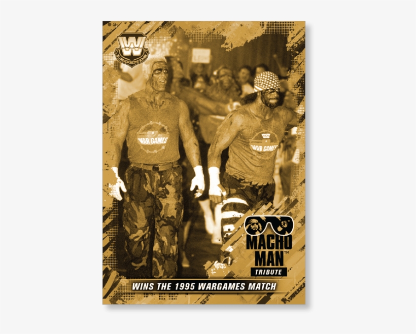 Gallery - Macho Man Wcw Sting - Free Transparent PNG Download - PNGkey