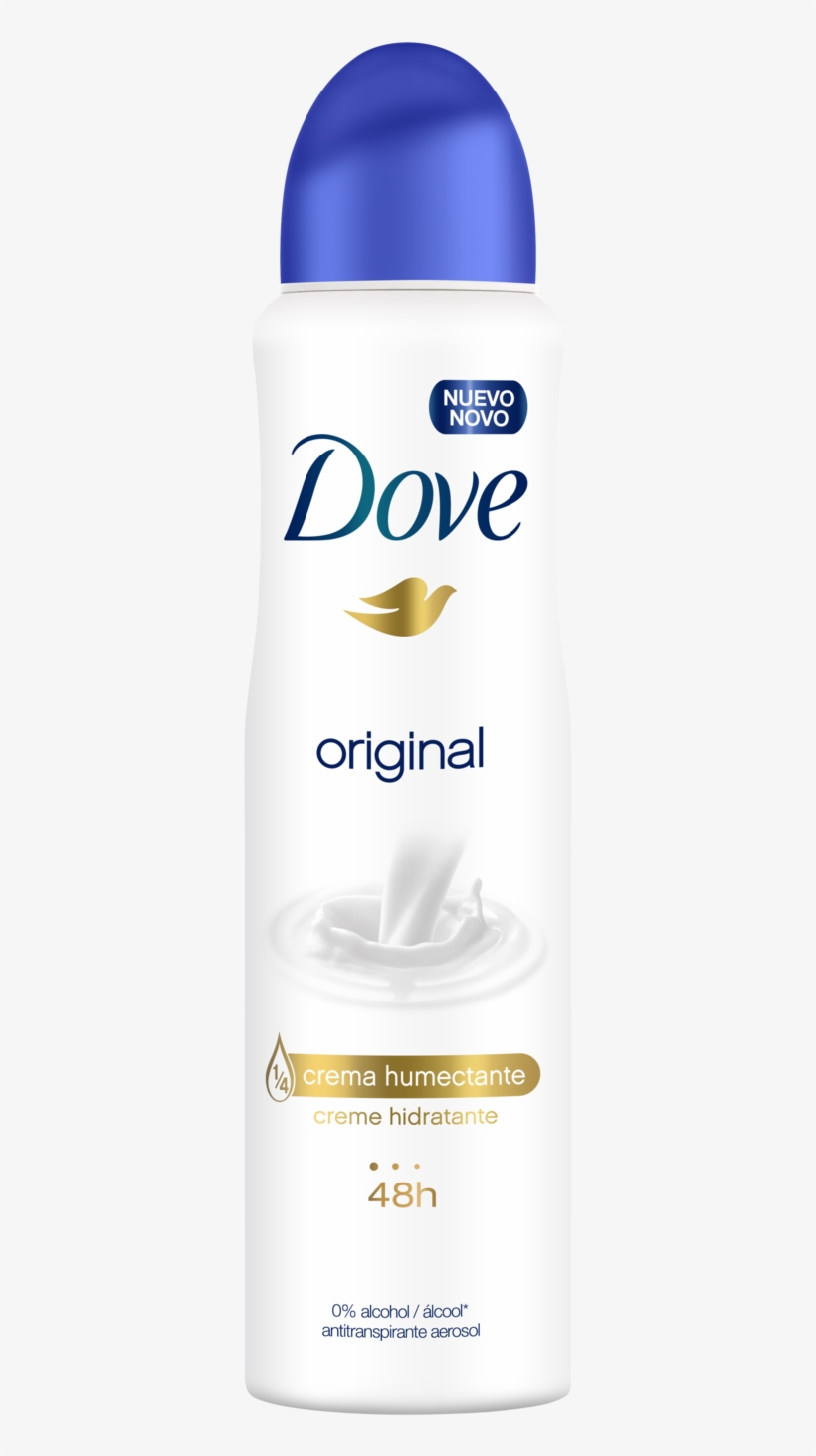 Dove - Free Transparent PNG Download - PNGkey