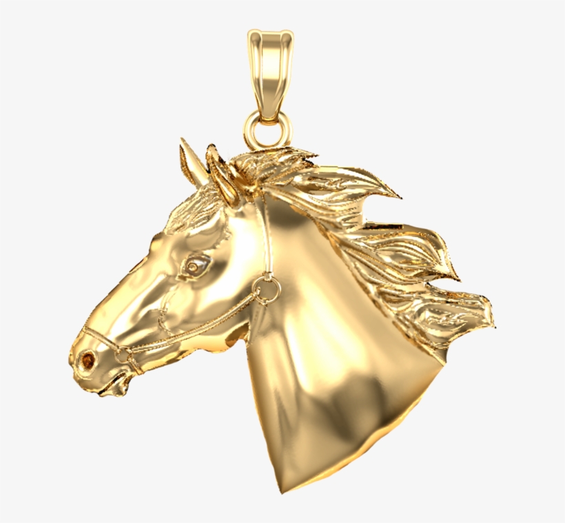 Stallion - Free Transparent PNG Download - PNGkey