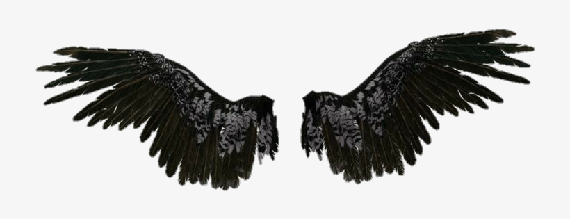 Fallen Angel Wings Png - Free Transparent PNG Download - PNGkey