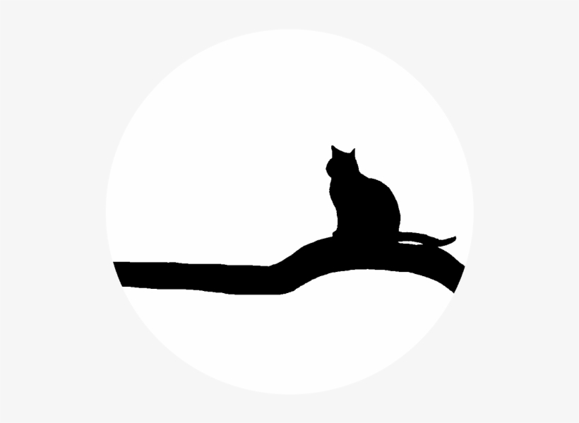 Cat Moon - Stock Illustration - Free Transparent PNG Download - PNGkey