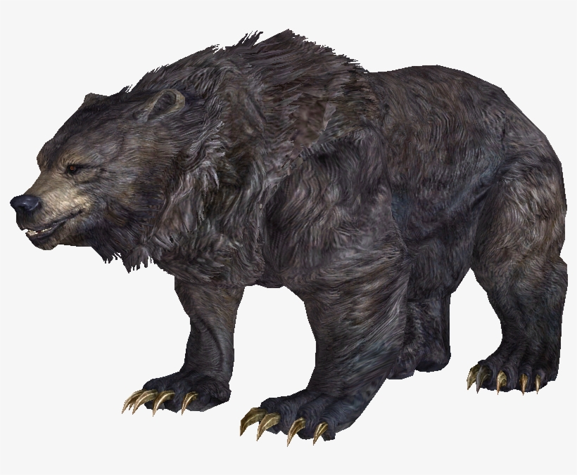 Skyrim Bear - Free Transparent PNG Download - PNGkey