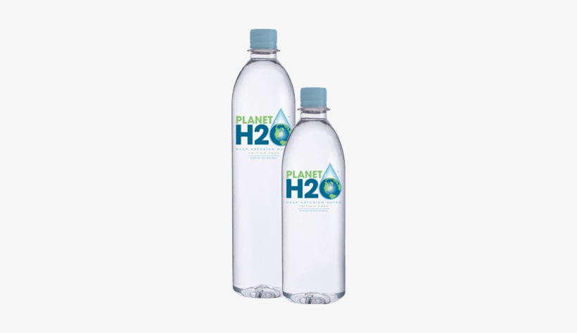 Planet H2o Bottled Water - Planet H2o Natural Artesian 1 Liter Case ...