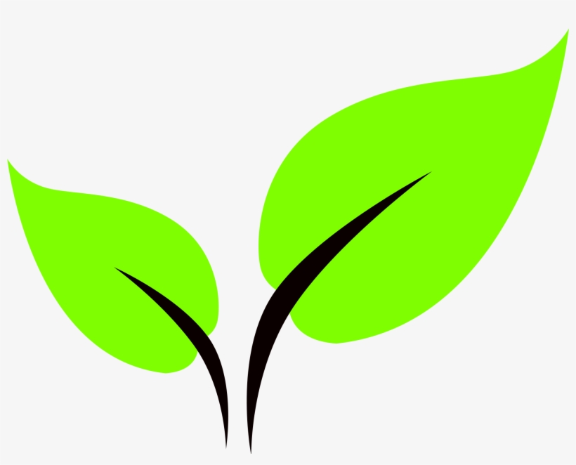 Leaf Icon - Free Transparent PNG Download - PNGkey