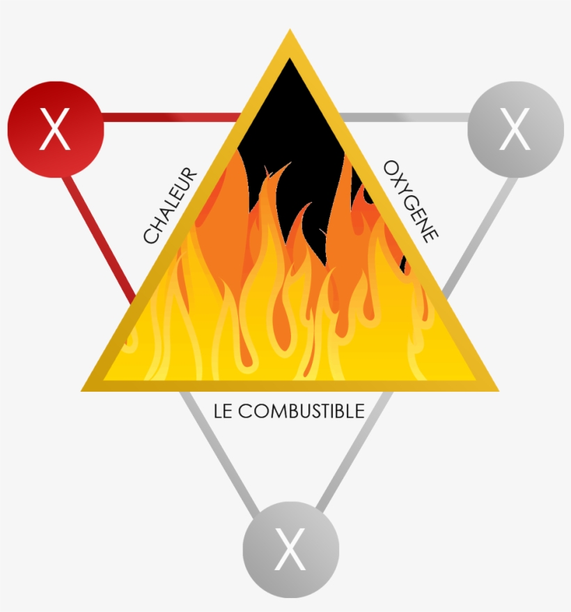 Schema - Free Transparent PNG Download - PNGkey