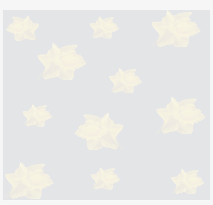 Star Of Bethlehem - Maple Leaf - Free Transparent PNG Download - PNGkey