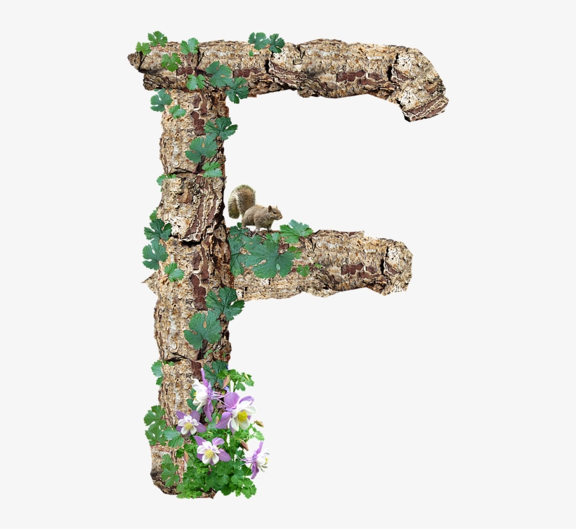 Alphabet, Letter, Rustic, Timber, Bark - Natural Arch - Free ...