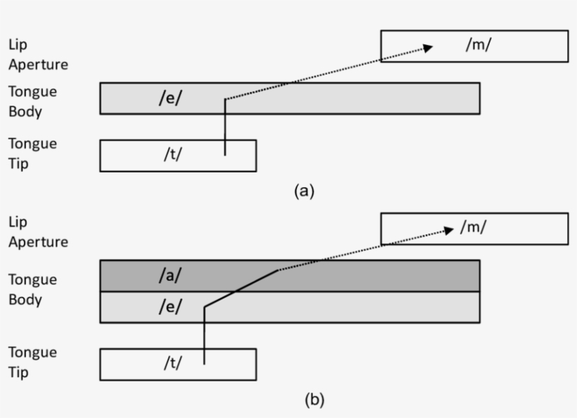 In Phase Coupling Is Represented By Continuous Lines, - Diagram - Free ...
