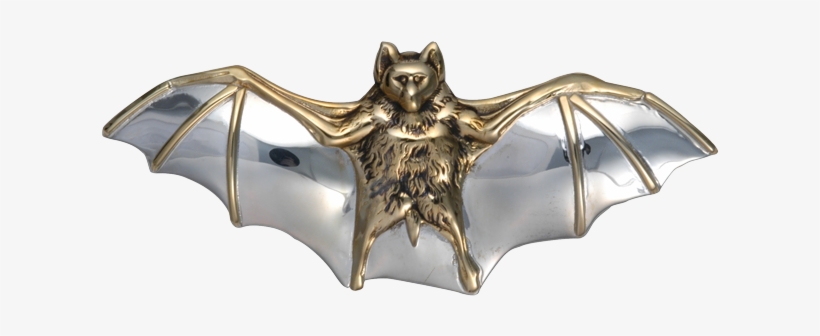 Little Brown Myotis - Free Transparent PNG Download - PNGkey