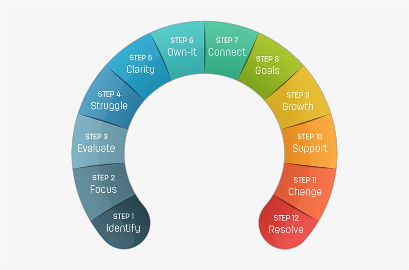 Brief Therapy 12 Week Outline - Circle - Free Transparent PNG Download ...