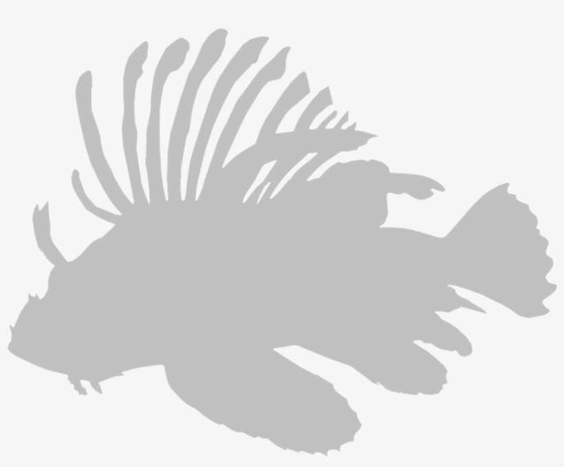 Lionfish Icon - Free Transparent PNG Download - PNGkey