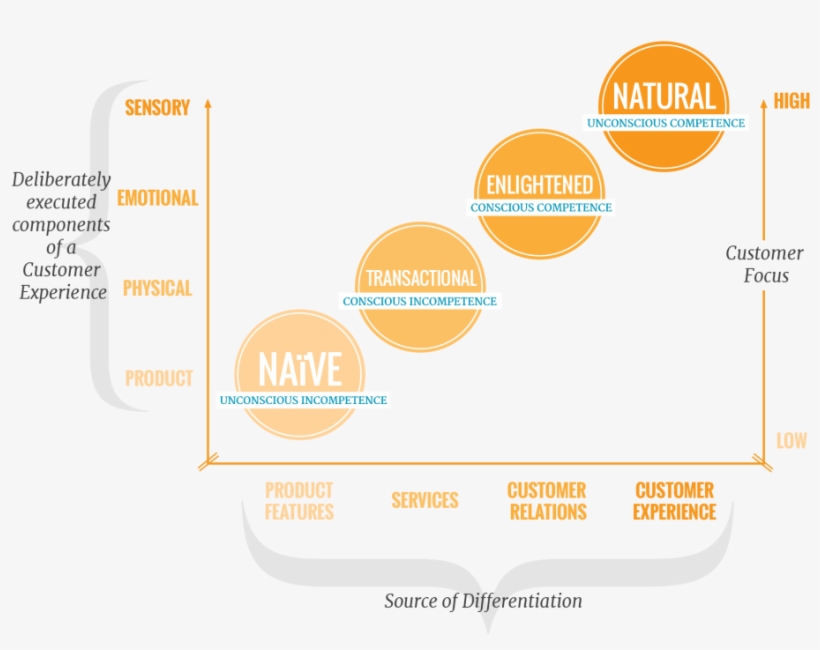 N2n Map V1 Trans - Diagram - Free Transparent PNG Download - PNGkey