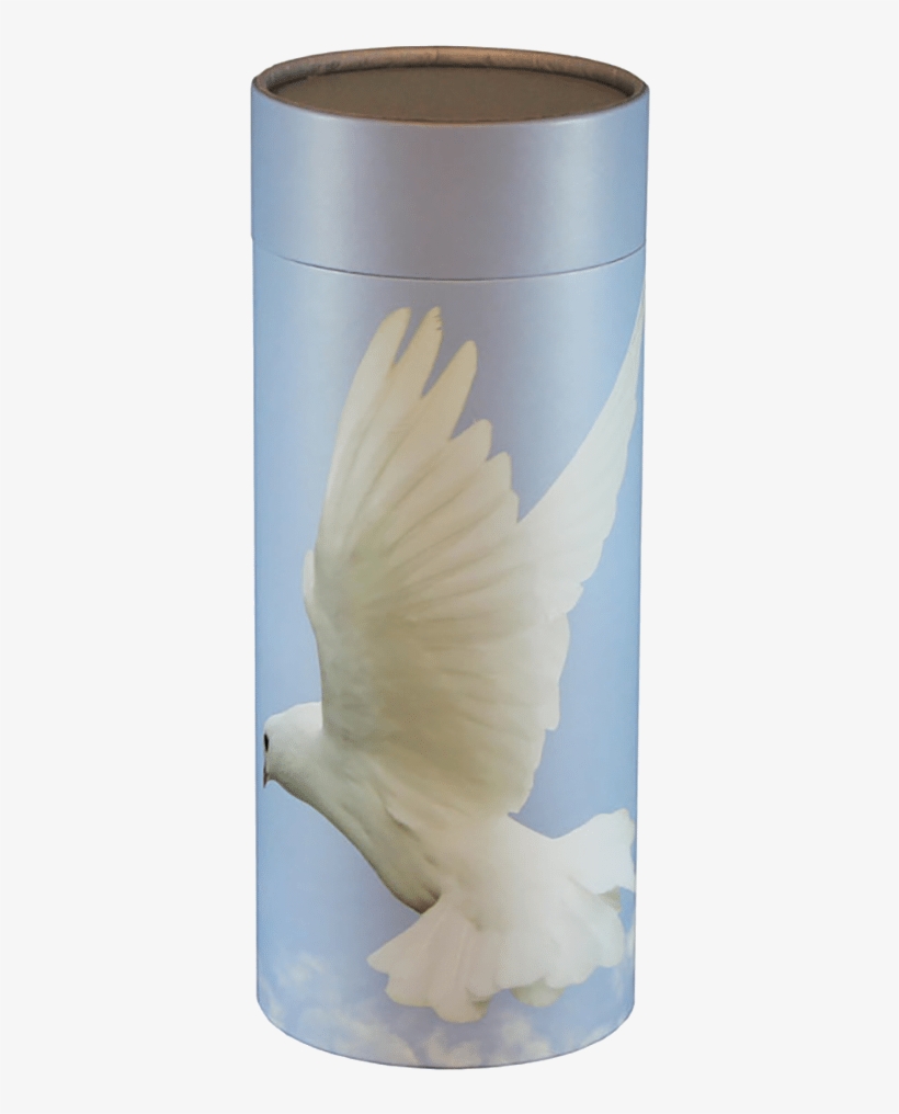 Bio Tubes - Scattering - Free Transparent PNG Download - PNGkey