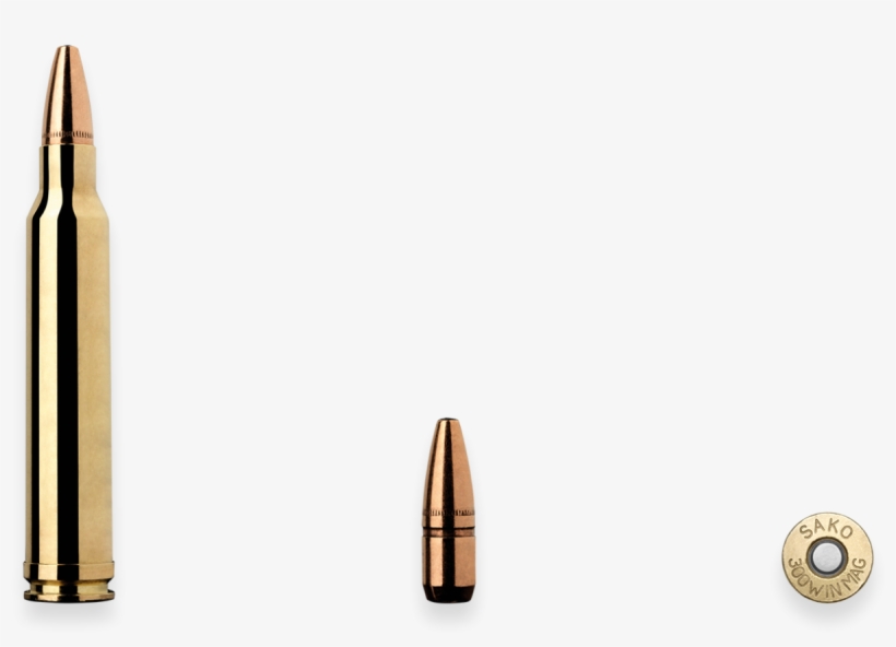 Bullets Png Image Without Background - Bullet - Free Transparent PNG ...