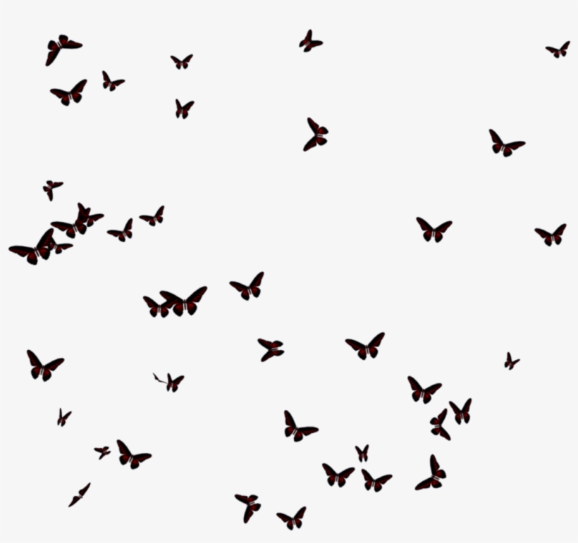 Butterflies Transparent Images - Nurturing A Backyard Habitat For ...
