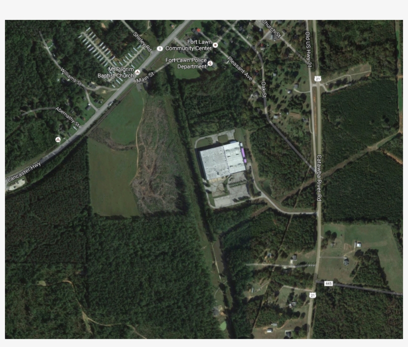 Aerial Tree Png - Free Transparent PNG Download - PNGkey