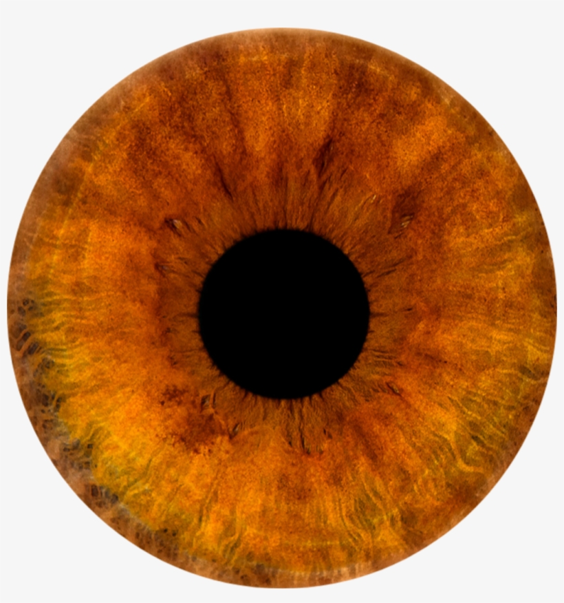 Brown Sticker - Circle - Free Transparent PNG Download - PNGkey